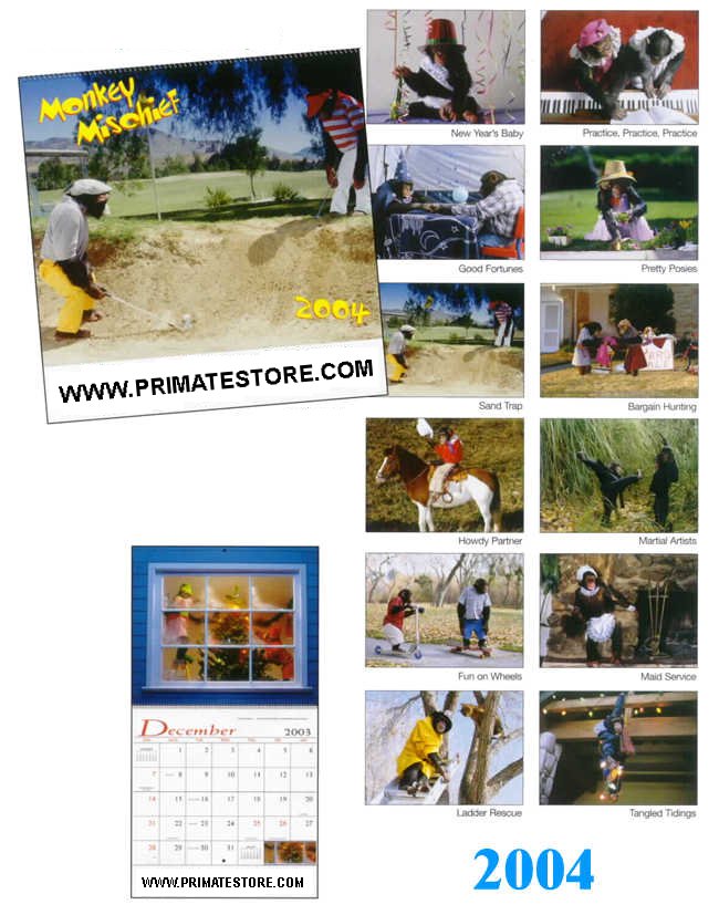 2002 Chimp Calendar 2002