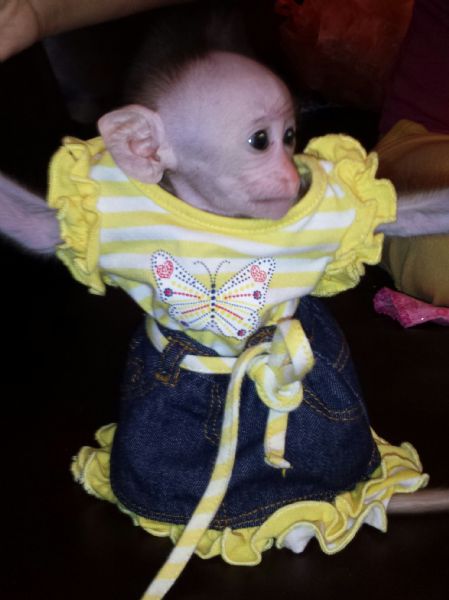 Available as of 2/25/14****